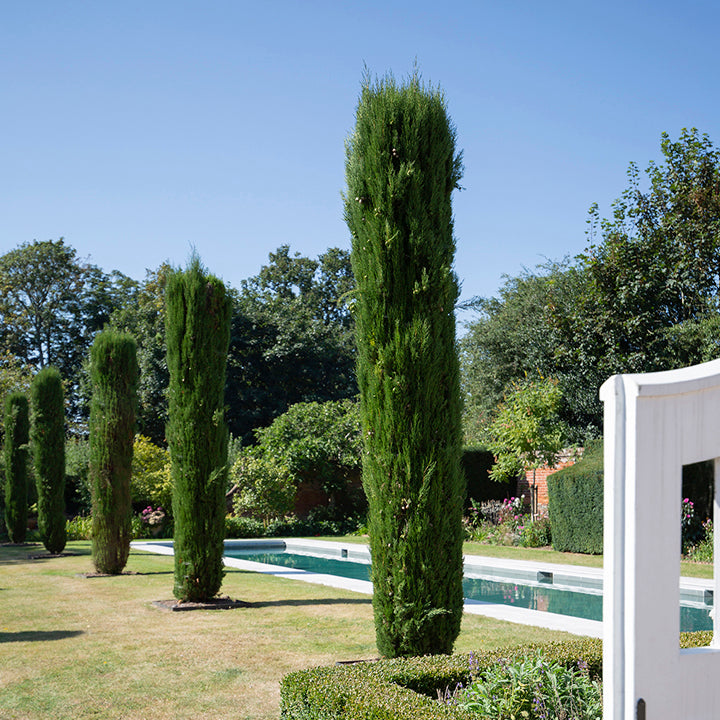 Step Inside A Country Summer Pool Garden | Blog | Quorn Stone